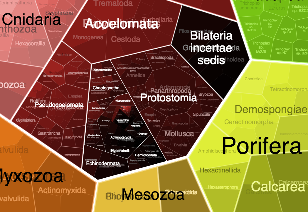 FoamTree: Visualize hierarchical data with a lot of groups – FlowingData FoamTree: Visualize hierarchical data with a lot of groups – FlowingData