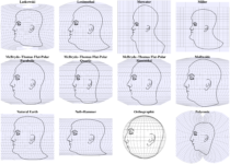 Interactive shows map projections with a face – FlowingData