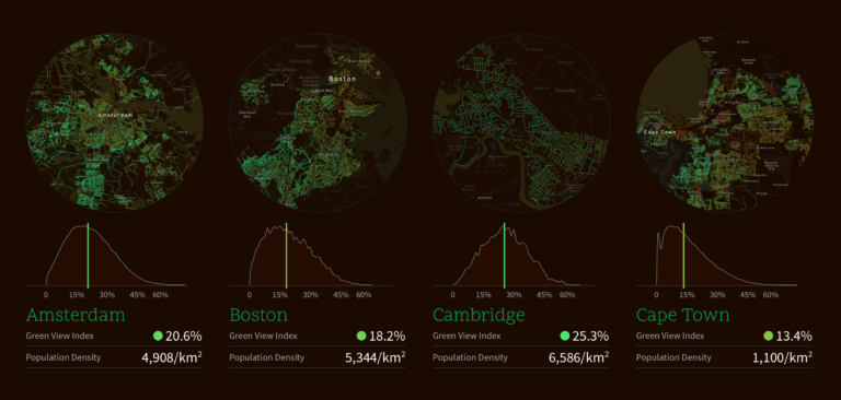 Mapping perceived canopy tree cover in major cities – FlowingData