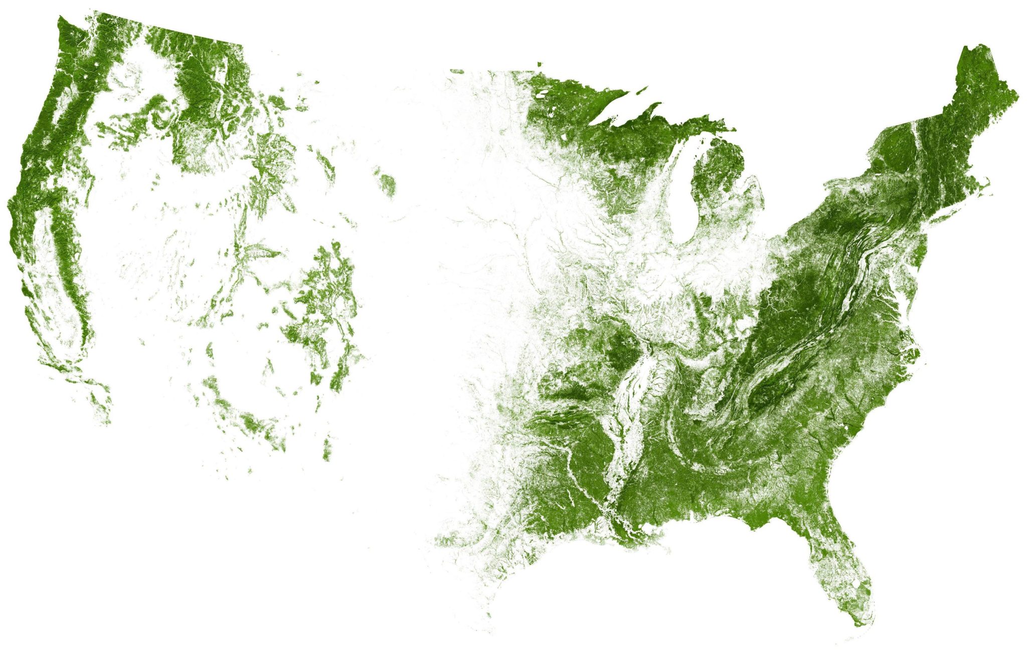 Map of all the trees and forests – FlowingData