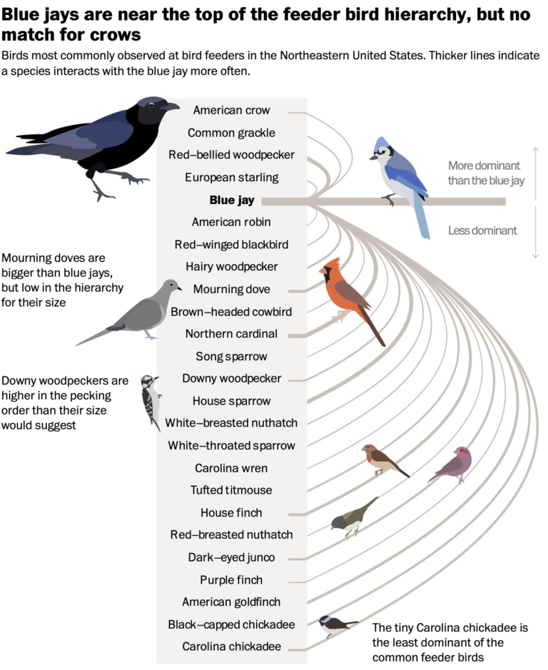 FlowingData | Data Visualization and Statistics